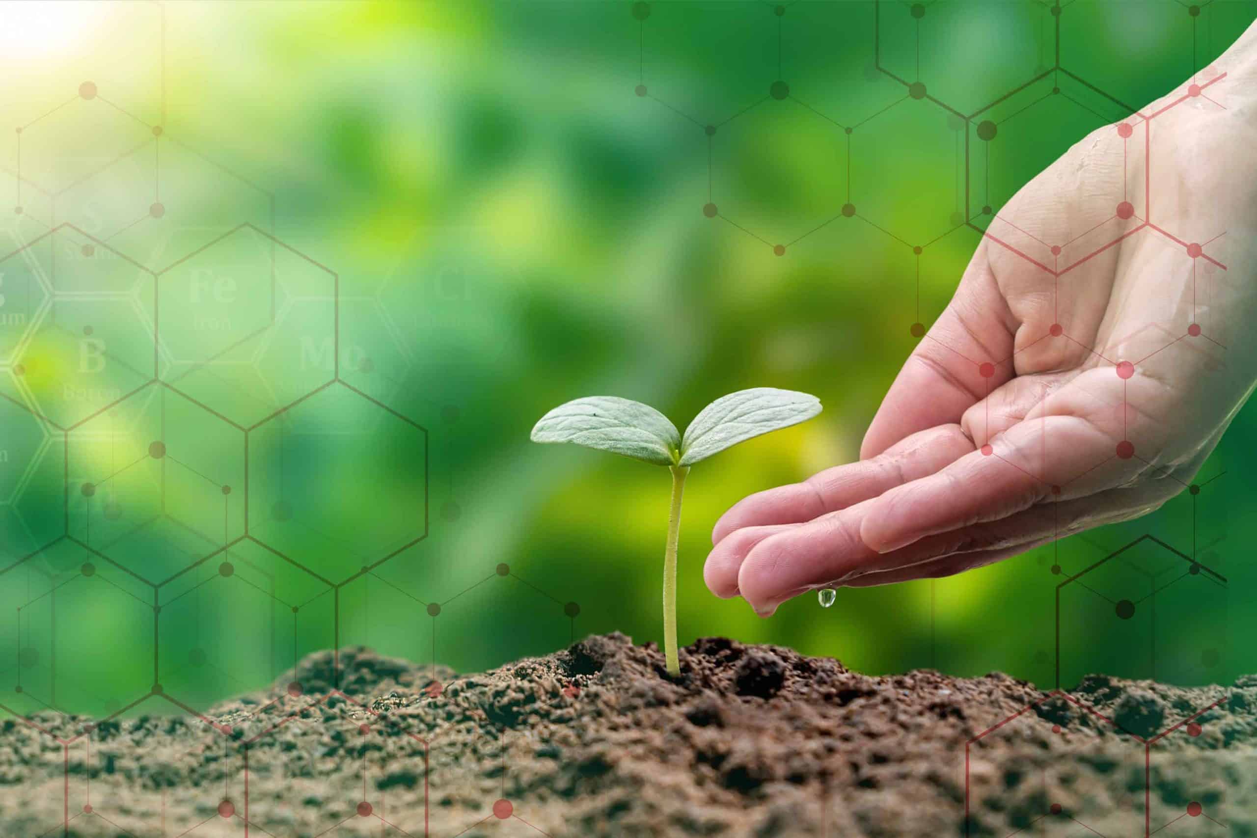 Agrokipos E-shop | Προϊόντα αγρού και κήπου σε όλη την Ελλάδα